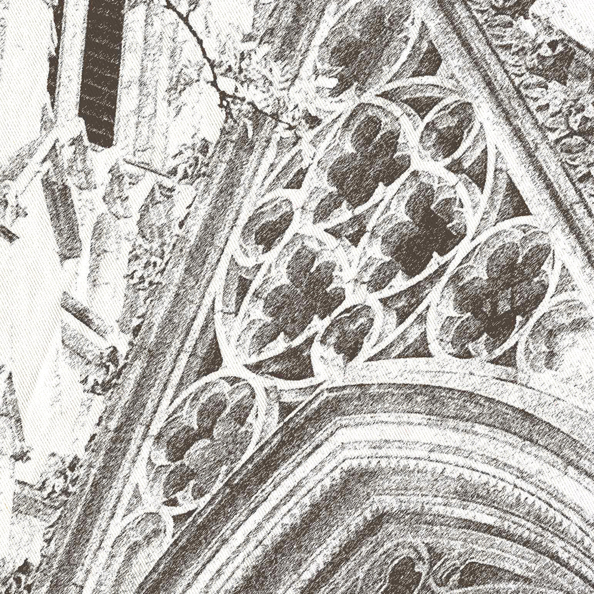New York Cityscape: Saint Patrick's Cathedral - Neutral Gray and White ...